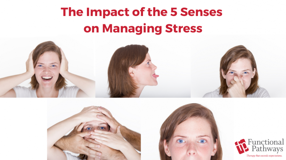 The Impact of the 5 Senses on Managing Stress | Functional Pathways ...